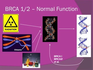 Breast and Ovarian Cancer | PPTX