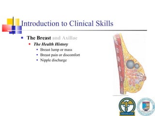 Breast & axillae | PPT | Medical Health