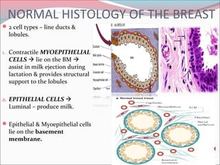 Breastbenigndisorderspathology 110914231905-phpapp01 | PPT