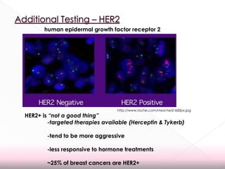 Breast Cancer - Molecular Basis of HER2+ Disease | PPTX