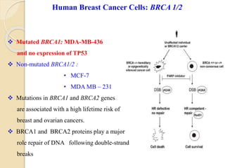 Breast cancer | PPT