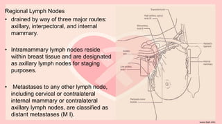 Breast cancer- Current Concepts in Staging and Management | PPTX