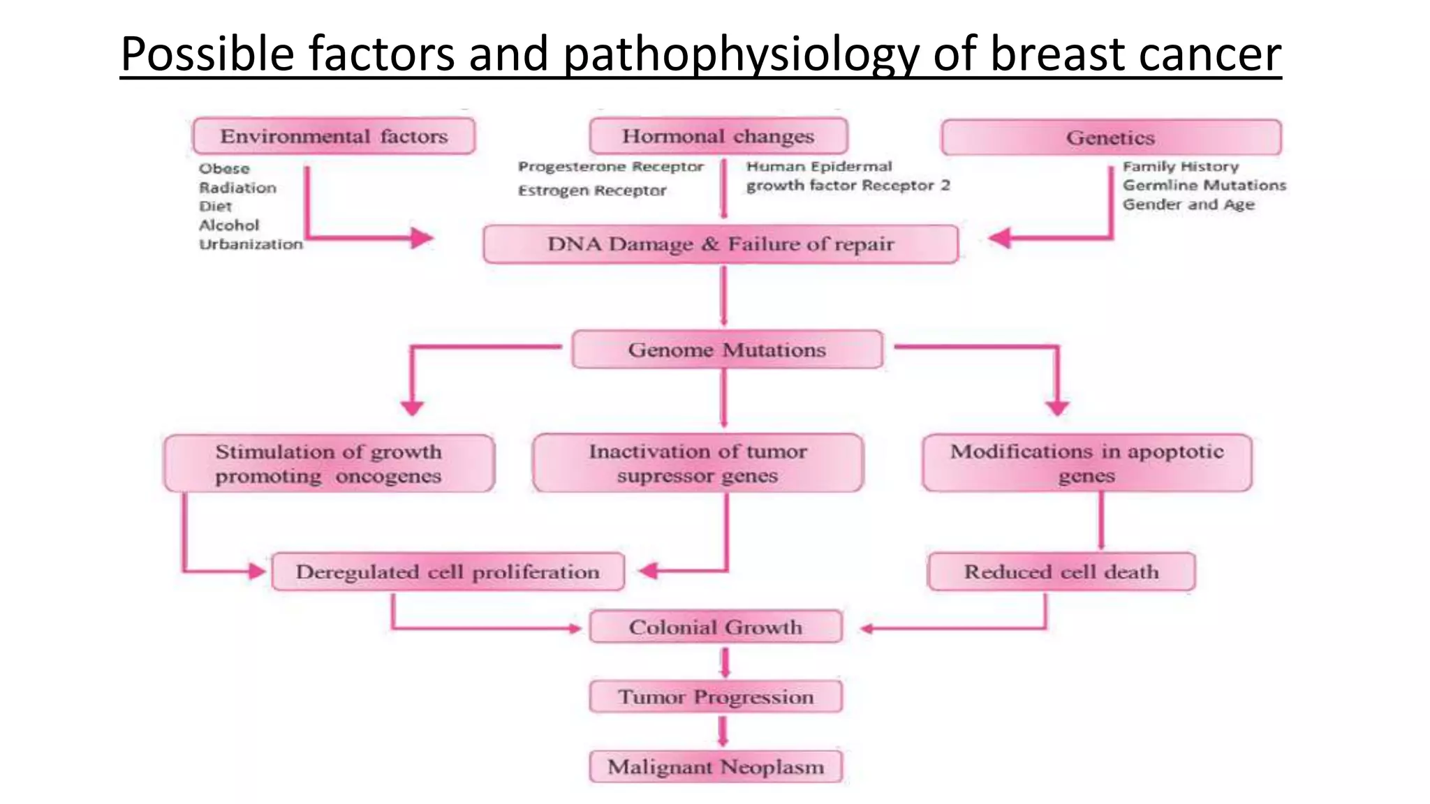 BREAST CANCER SOAP FORMAT CASE STUDY. | PPTX