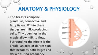 Breast cancer.pptx