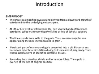 Women's Breast cancer in Central Africa. | PPT