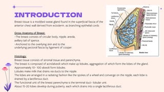 Breast Cancer development and awareness! | PDF