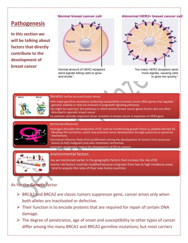 Breast Cancer And Ovarian Cysts | PDF