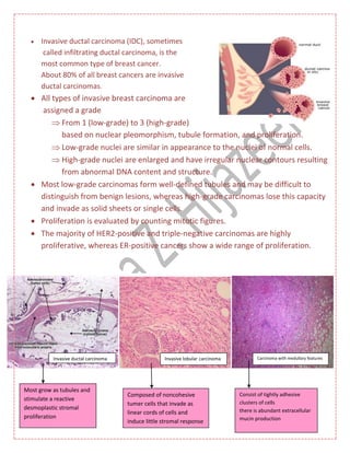 Breast Cancer And Ovarian Cysts | PDF