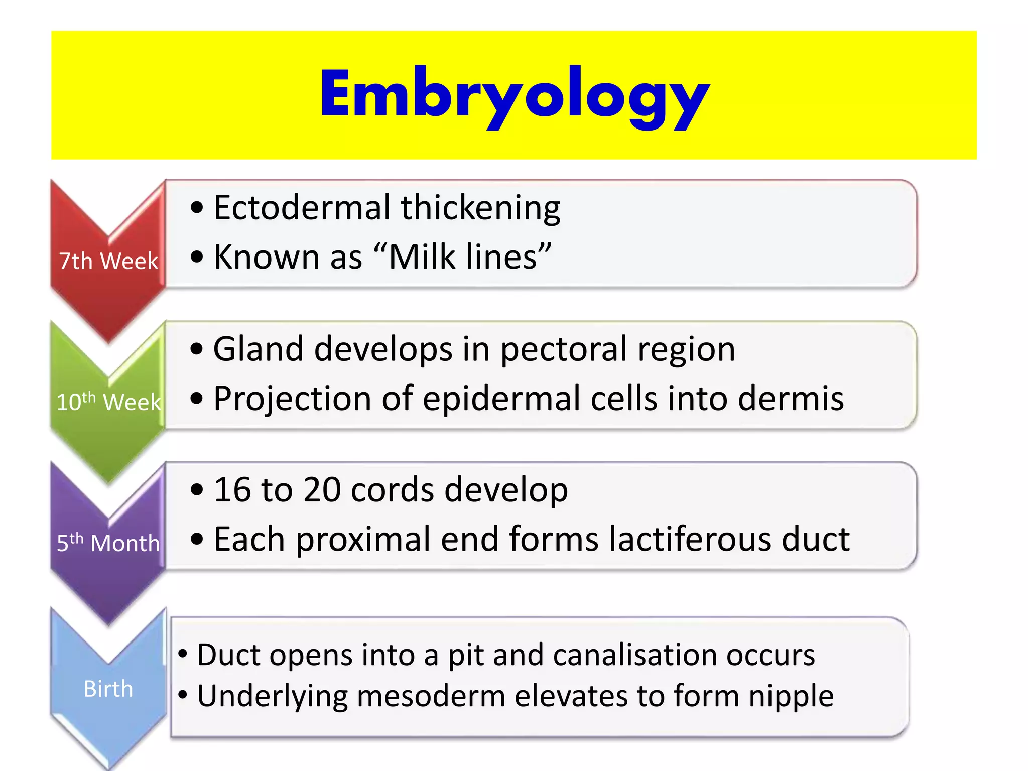 Breast cancer introduction and etiology | PPTX