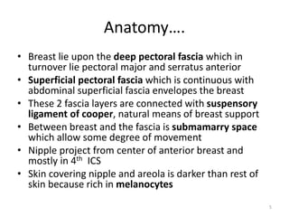 Breast cancer anatomy and pathology | PPTX