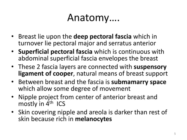 Breast cancer anatomy and pathology | PPTX | Cancer | Diseases and ...