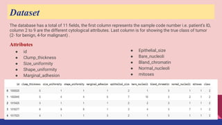 Breast Cancer Classification.pdf