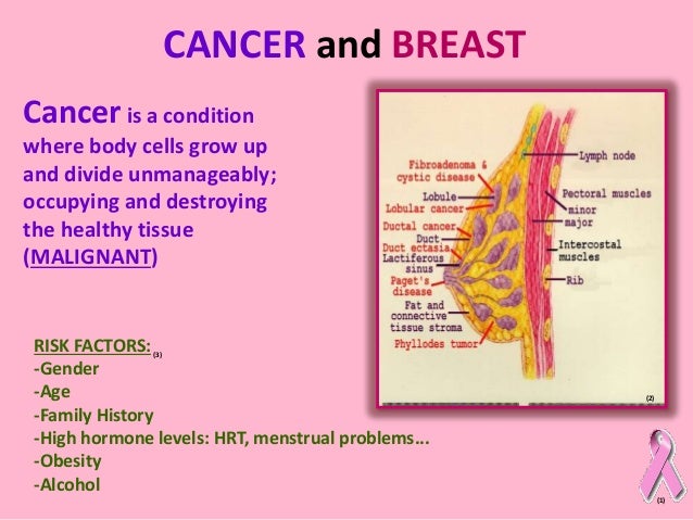 BREAST CANCER