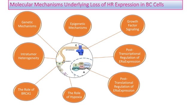 Breast cancer :Receptor (ER/PR/HER2 NEU) Discordance.pptx | Endocrine ...