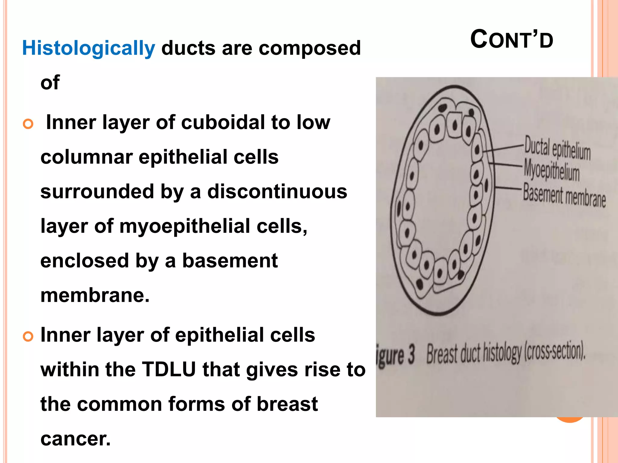 Breast cancer ppt | PPTX