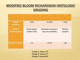 breast cancer ppt.pptx