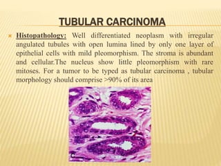 breast cancer ppt.pptx