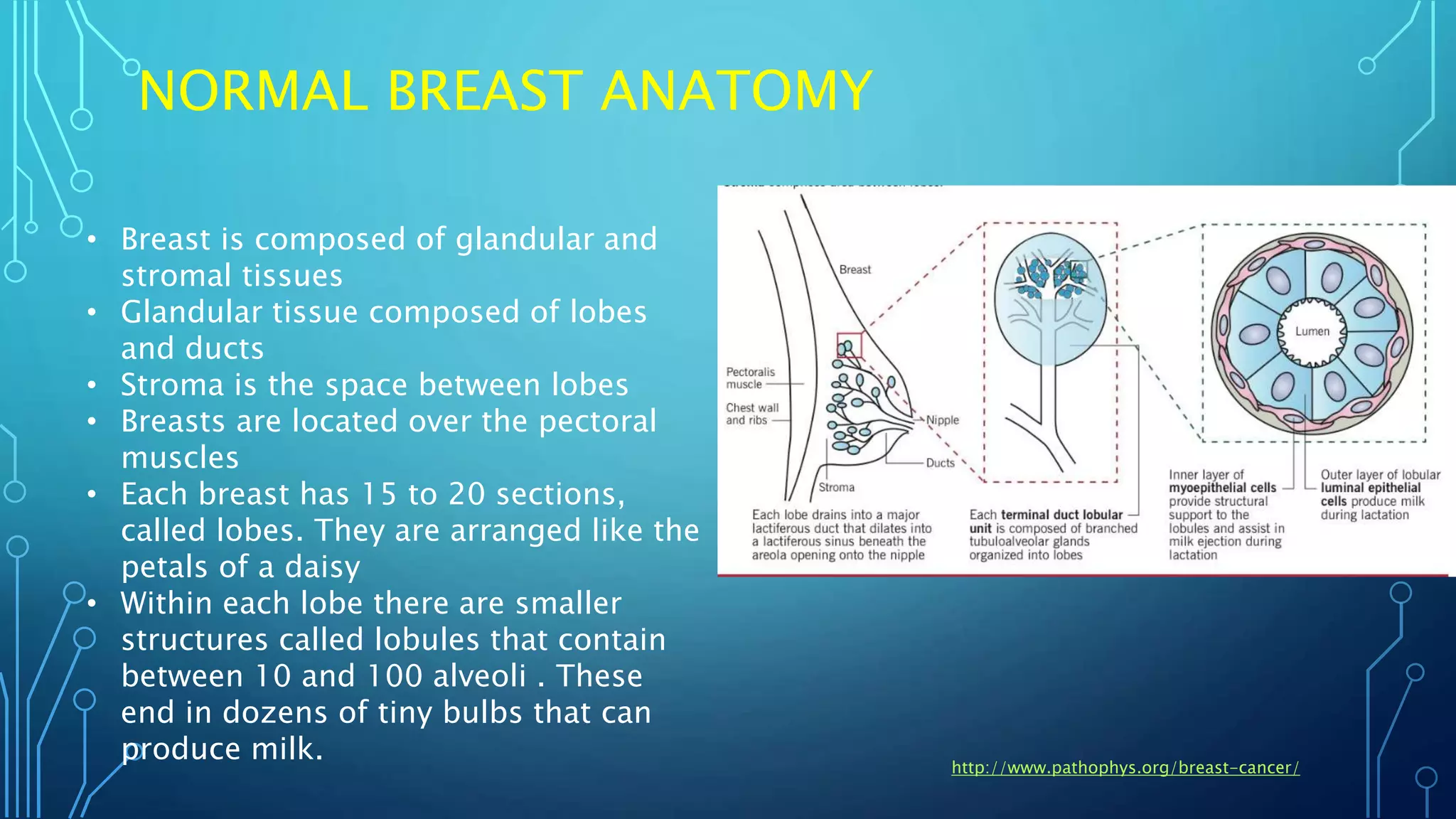 Overview of breast cancer screening and diagnosis | PPTX