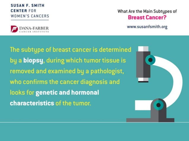 What Are the Main Subtypes of Breast Cancer? | PPT