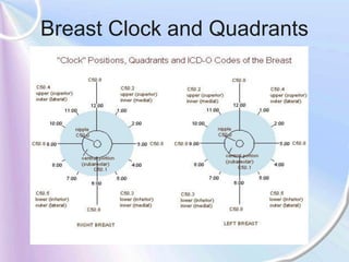 Breast disease | PPT