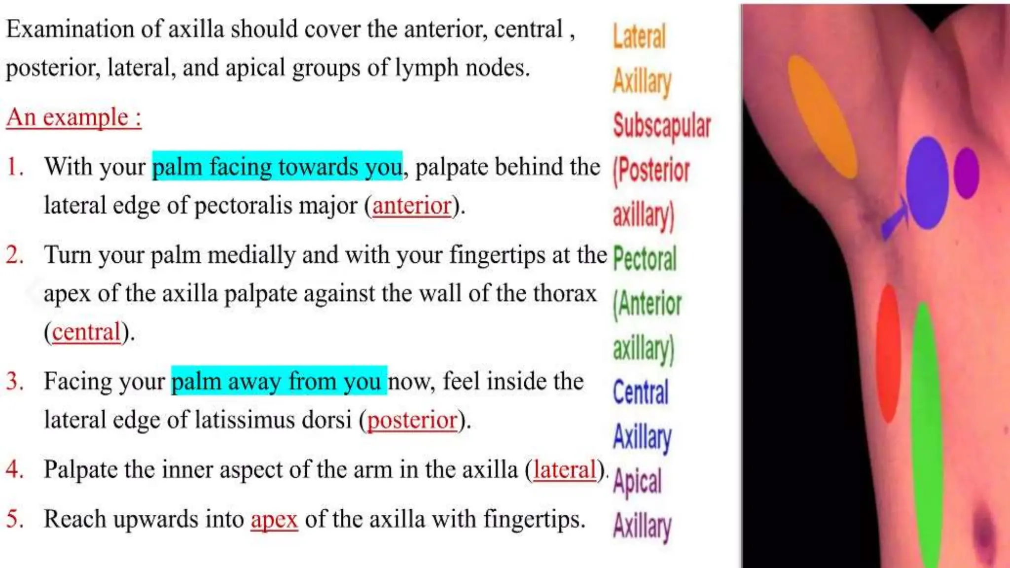 Breast Examination.pptx examination of axillary lymph node | PPTX