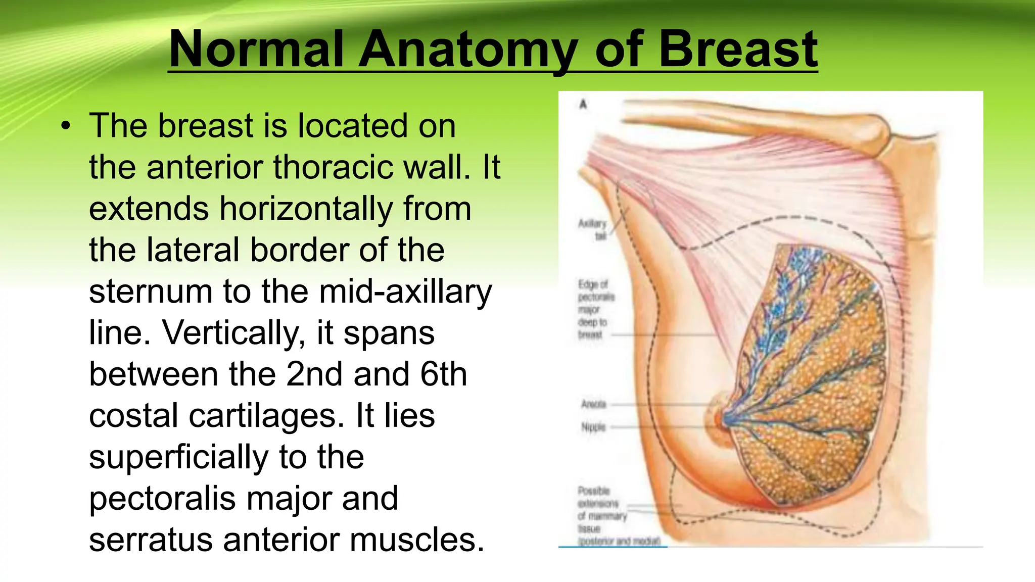 Breast Examination.pptx examination of axillary lymph node | PPTX