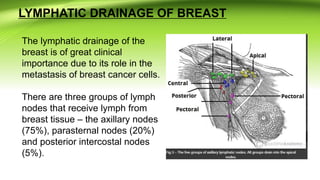 Breast Examination.pptx examination of axillary lymph node | PPTX