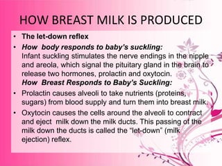 breastfeeding-121023054344-phpapp01.pptx