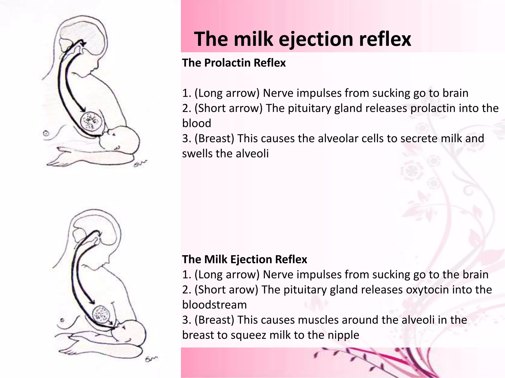 Breastfeeding | PPTX