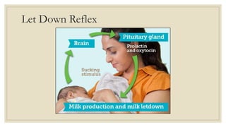 Breastfeeding | PPT