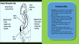 Breast feeding | PPTX