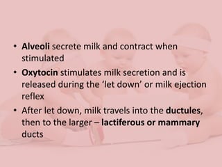 breast feeding.pptx