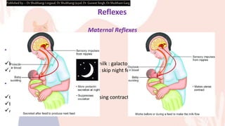 BREASTFEEDING.pptx