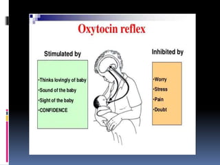 Oxytocin Reflex