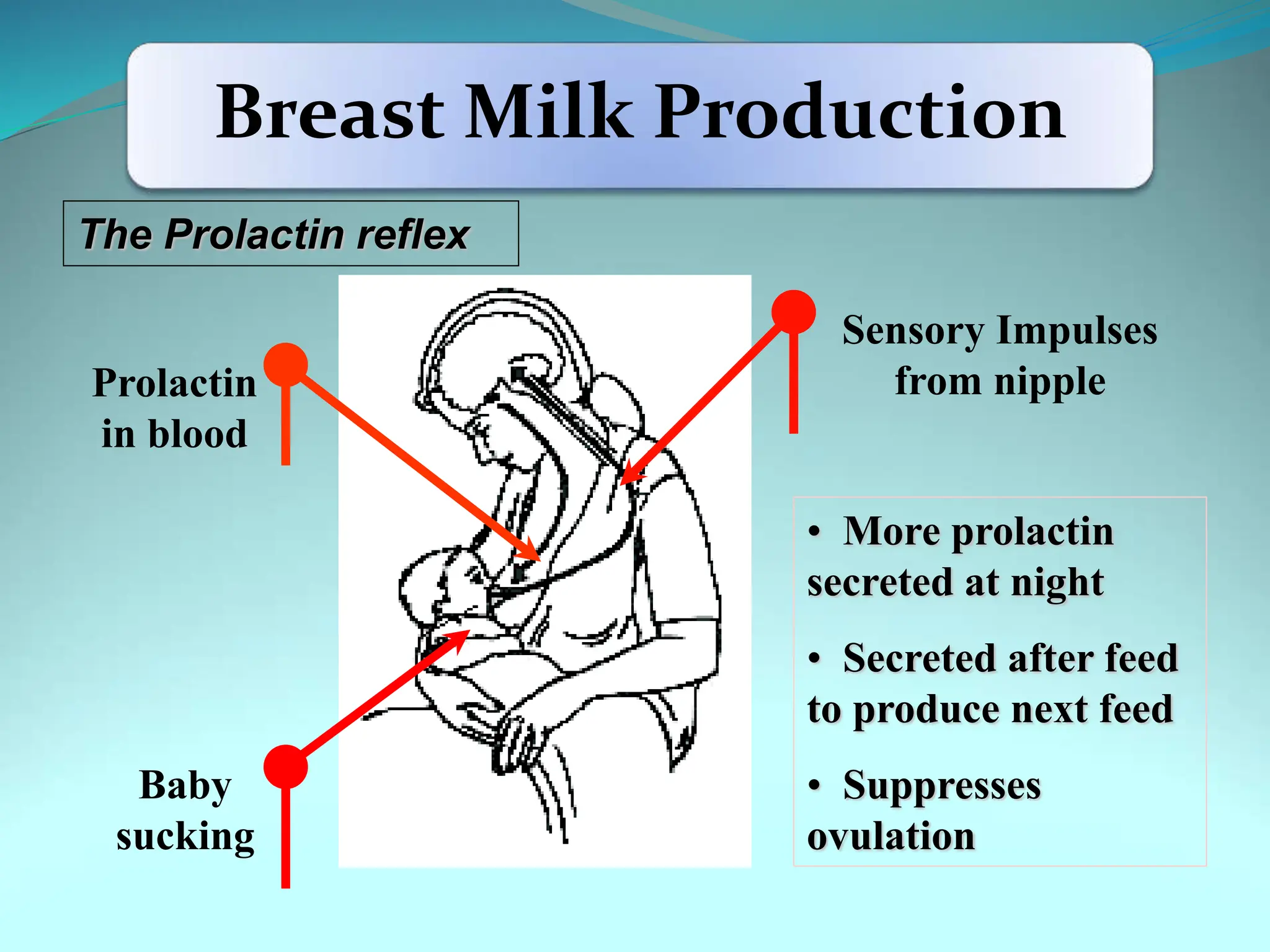 BREASTFEEDING: DR. ANAND SINGH BHADORIYA (MBBS).ppt