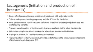 Breastfeeding.power pointy presentatuion | PDF
