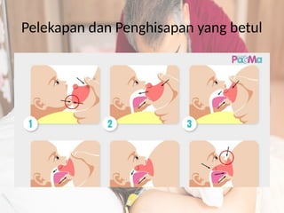 kelebihan dan kepentingan susu ibu. cara cara penyususan ibu | PPT