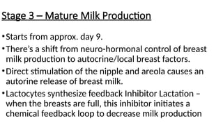 Breastfeeding And Lactation Failure Presentation 1st Week-2.pptx