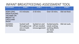 about breastfeeding and evaluation.. assessmentbreastfeeding assessment ...