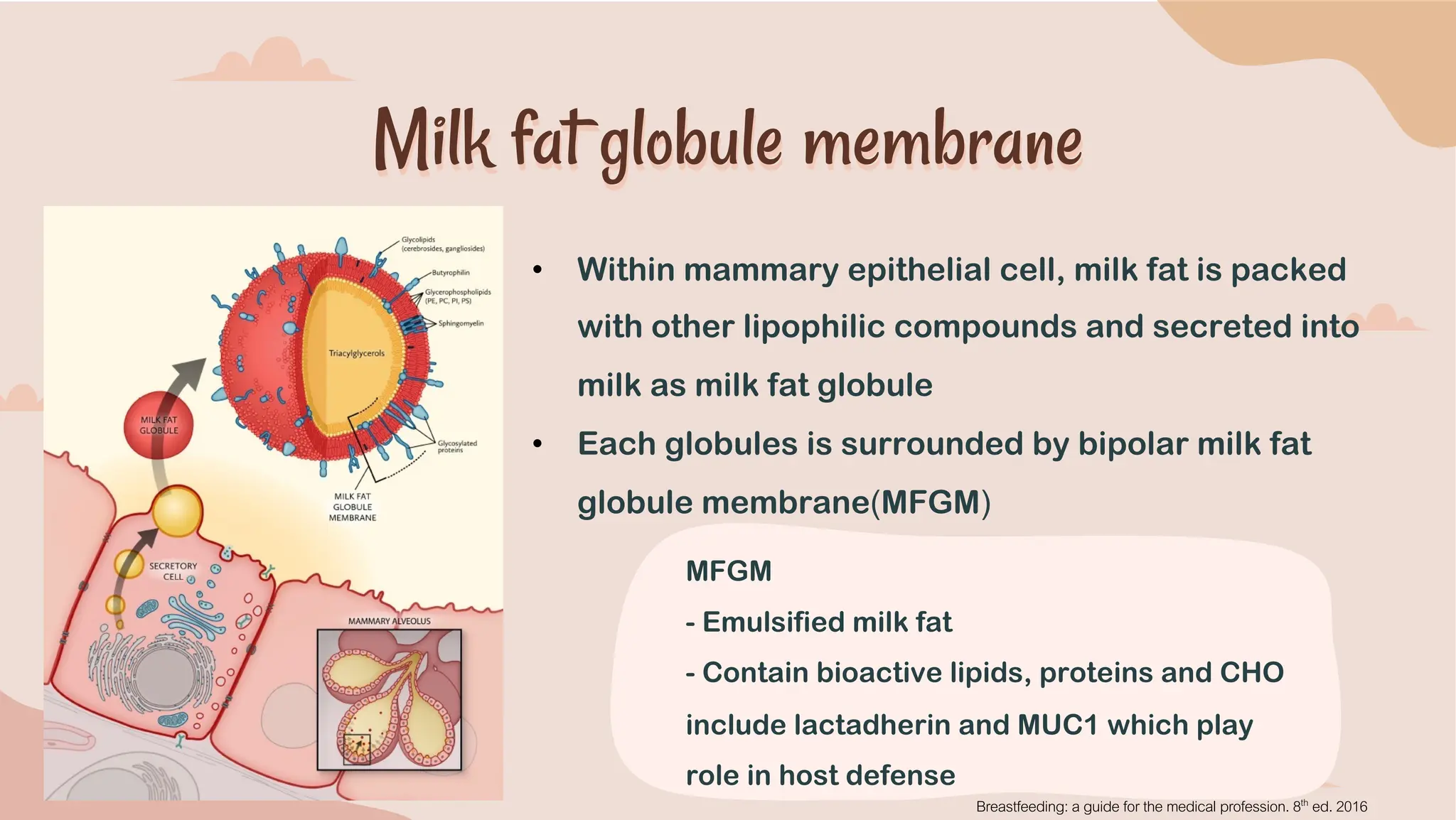 Breastfeeding final version - nutrition | PDF