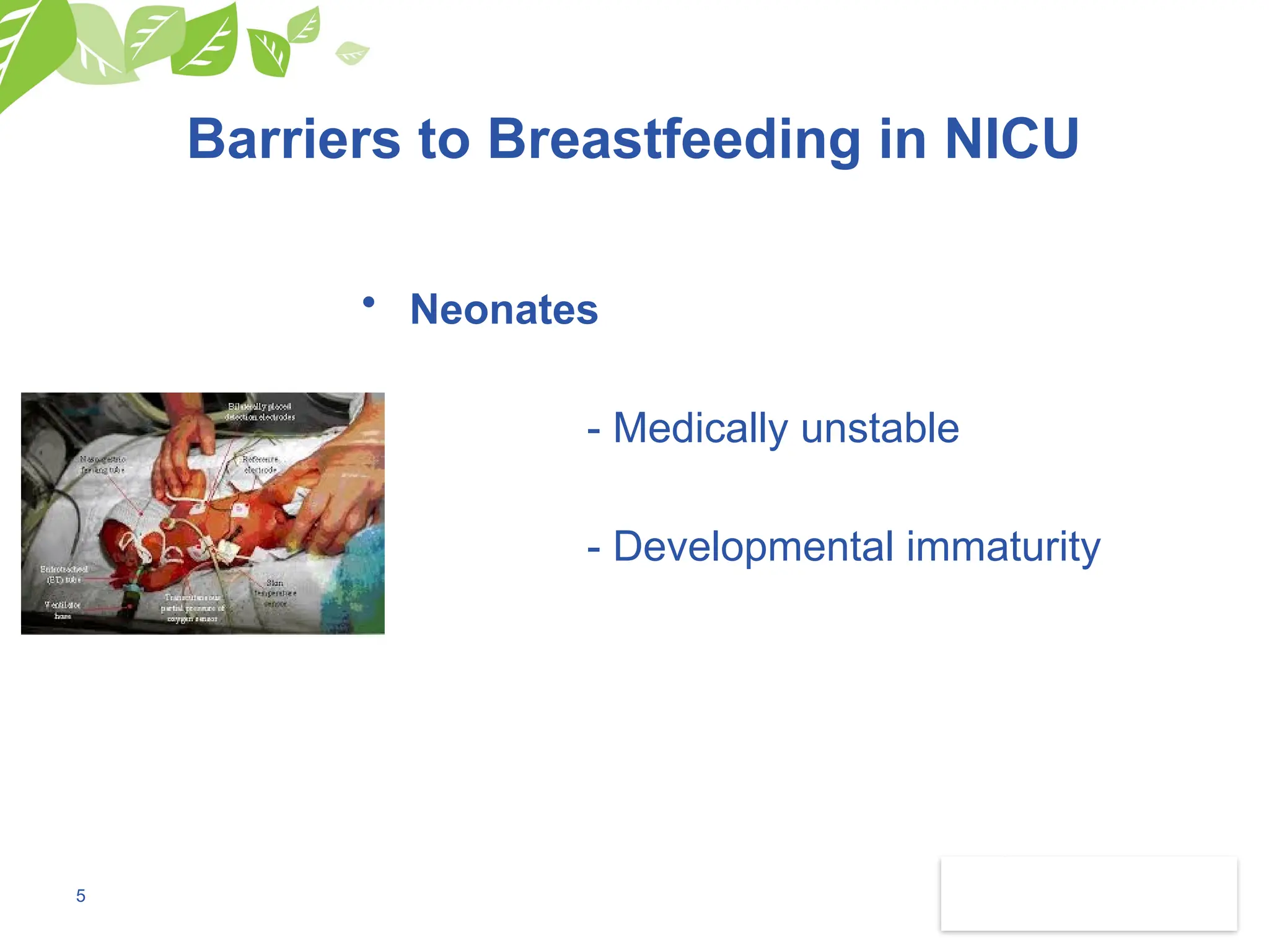 Breast Feeding in Neonatal Intensive Care .ppt