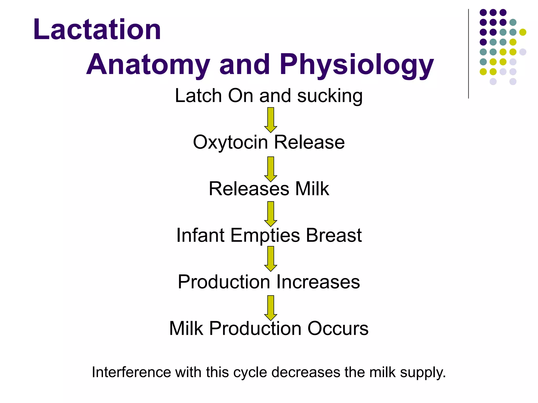 Breastfeeding Lactation.ppt