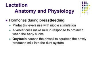 Breastfeeding Lactation.ppt