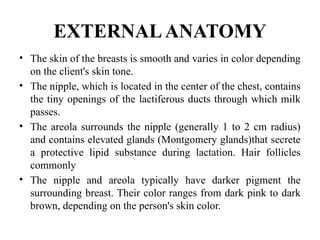 BREASTFEEDING : anatomy and physiology breast , all about breast milk ...