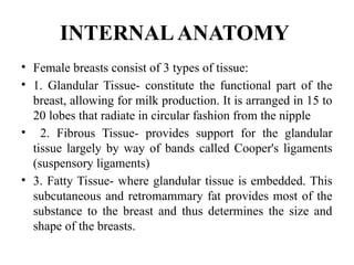 BREASTFEEDING : anatomy and physiology breast , all about breast milk ...