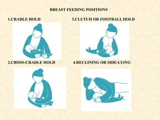 Breast feeding ppt | PPTX | Pregnancy | Reproductive Health