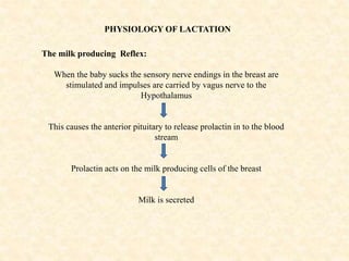 Breast feeding ppt | PPT