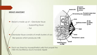 BREASTFEEDING ppt.pptxin in detailed explanation | PPTX