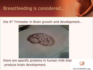 Breastfeeding | PPTX | Pregnancy | Reproductive Health