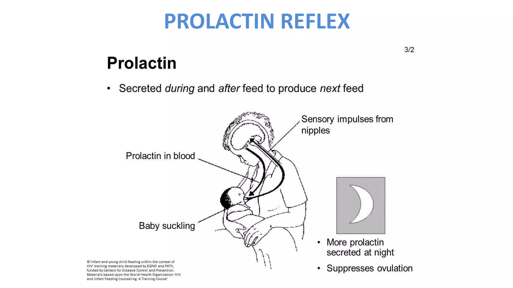Breastfeeding seminar pediatrics | PPTX